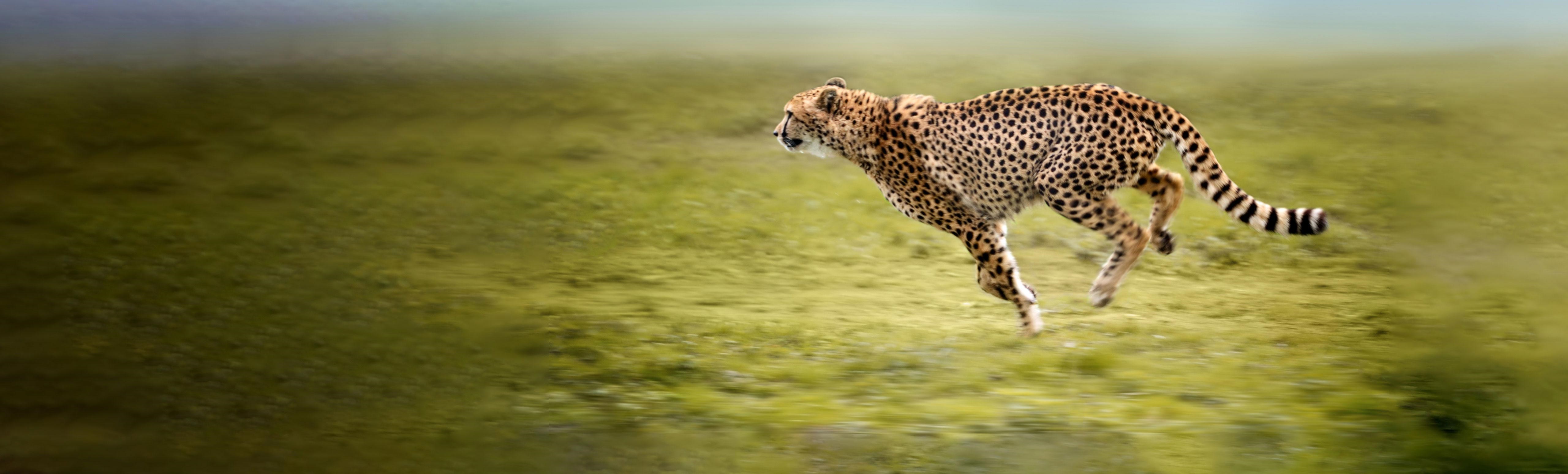 Submit your Stamp Duty Land Tax (SDLT) form online with InfoTrack